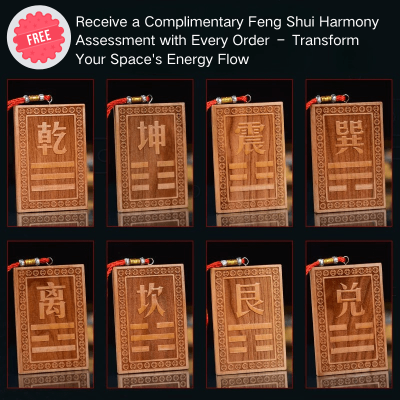 Taomu (Peach Wood) Bagua Palace Plaque- Feng Shui Adjustment & House H – FORTUNEWARD